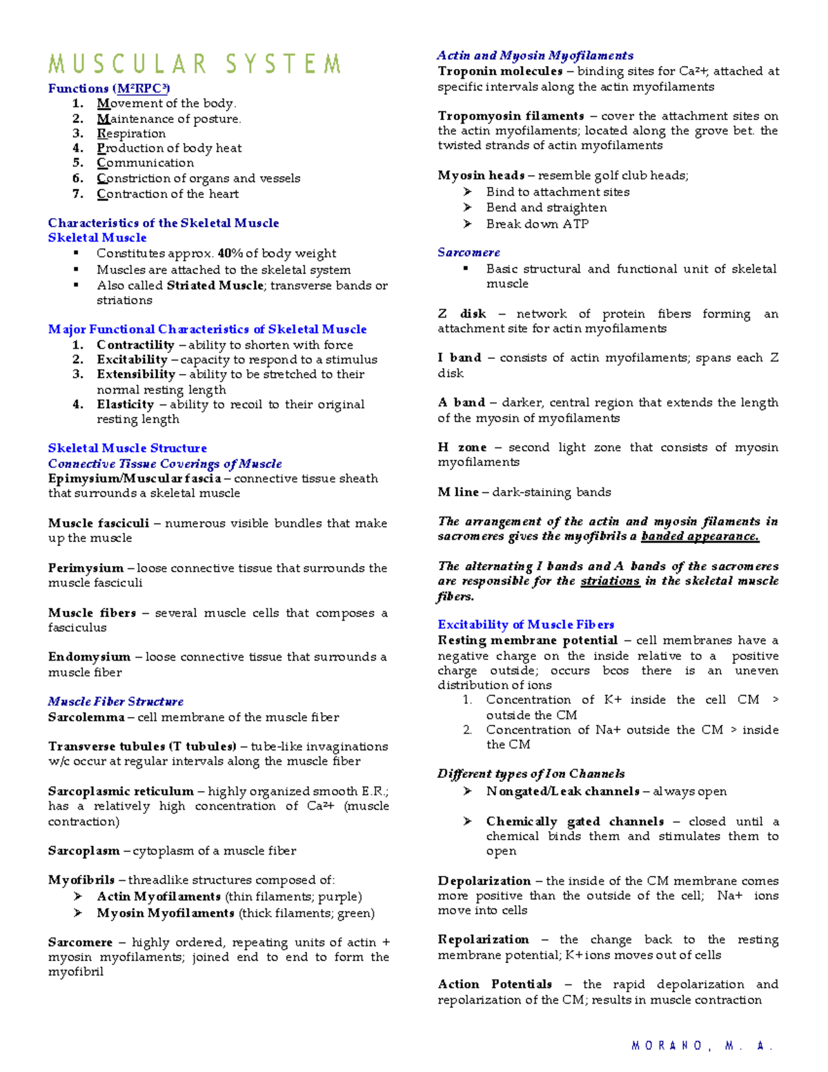 Muscular System - Nursing Note - M U S C U L A R S Y S T E M Functions ...