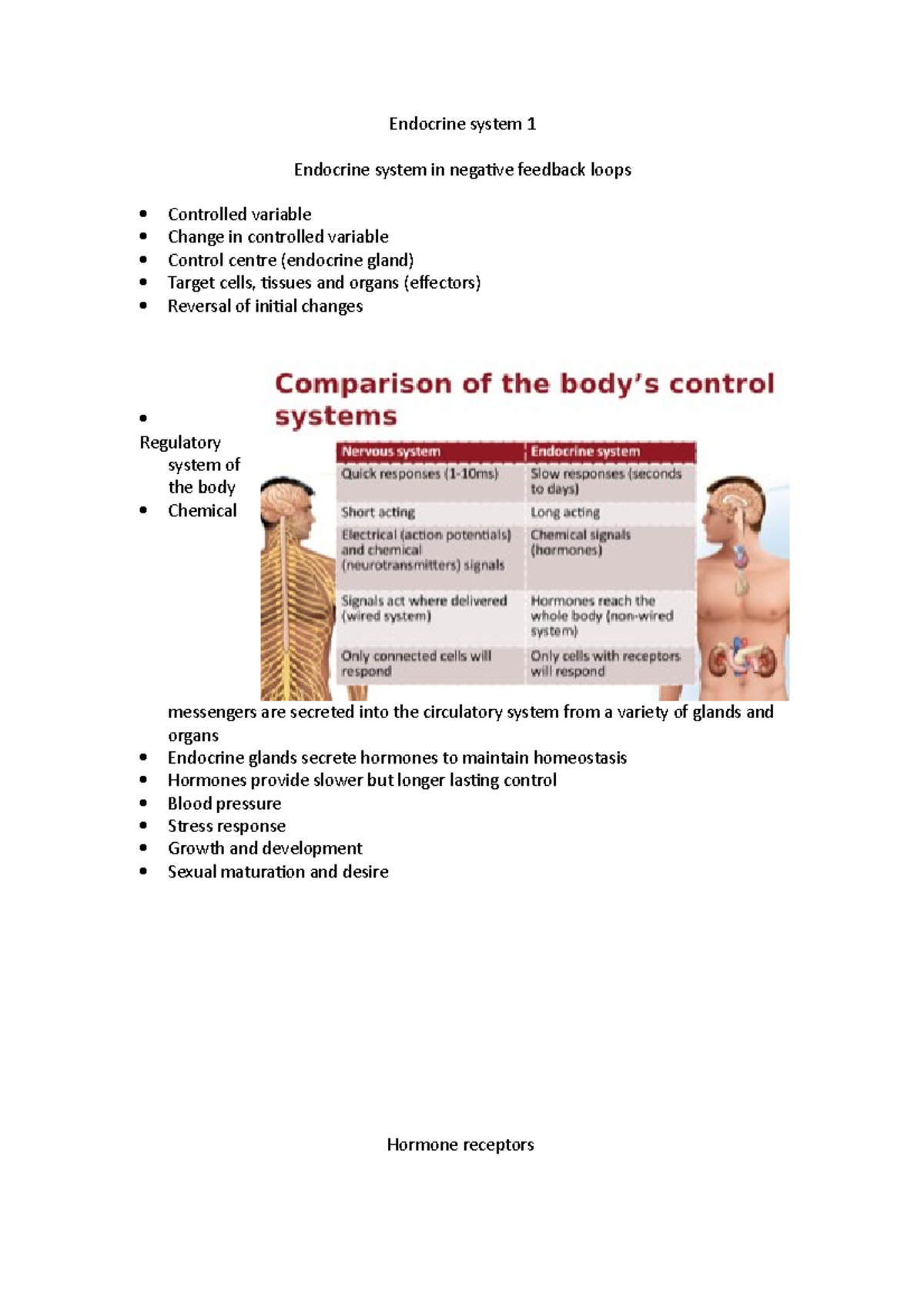 Endocrine system 1, 2 and 3 - Endocrine system 1 Endocrine system in ...