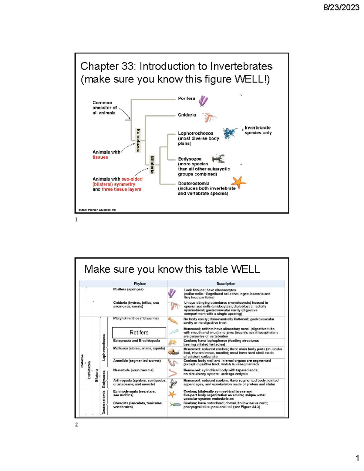 33 Invertebrates Posted - © 2021 Pearson Education, Inc. Chapter 33 ...