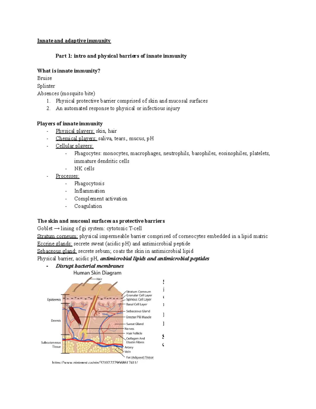 Part 1 intro and physical barriers of innate immunity - Innate and ...