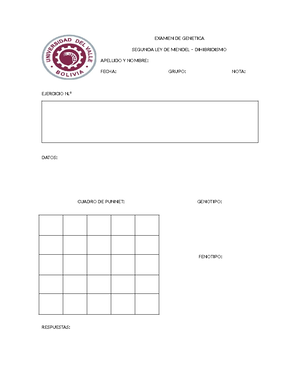 Marco Práctico DE UNA Investigacion - MARCO PRÁCTICO DE UNA ...