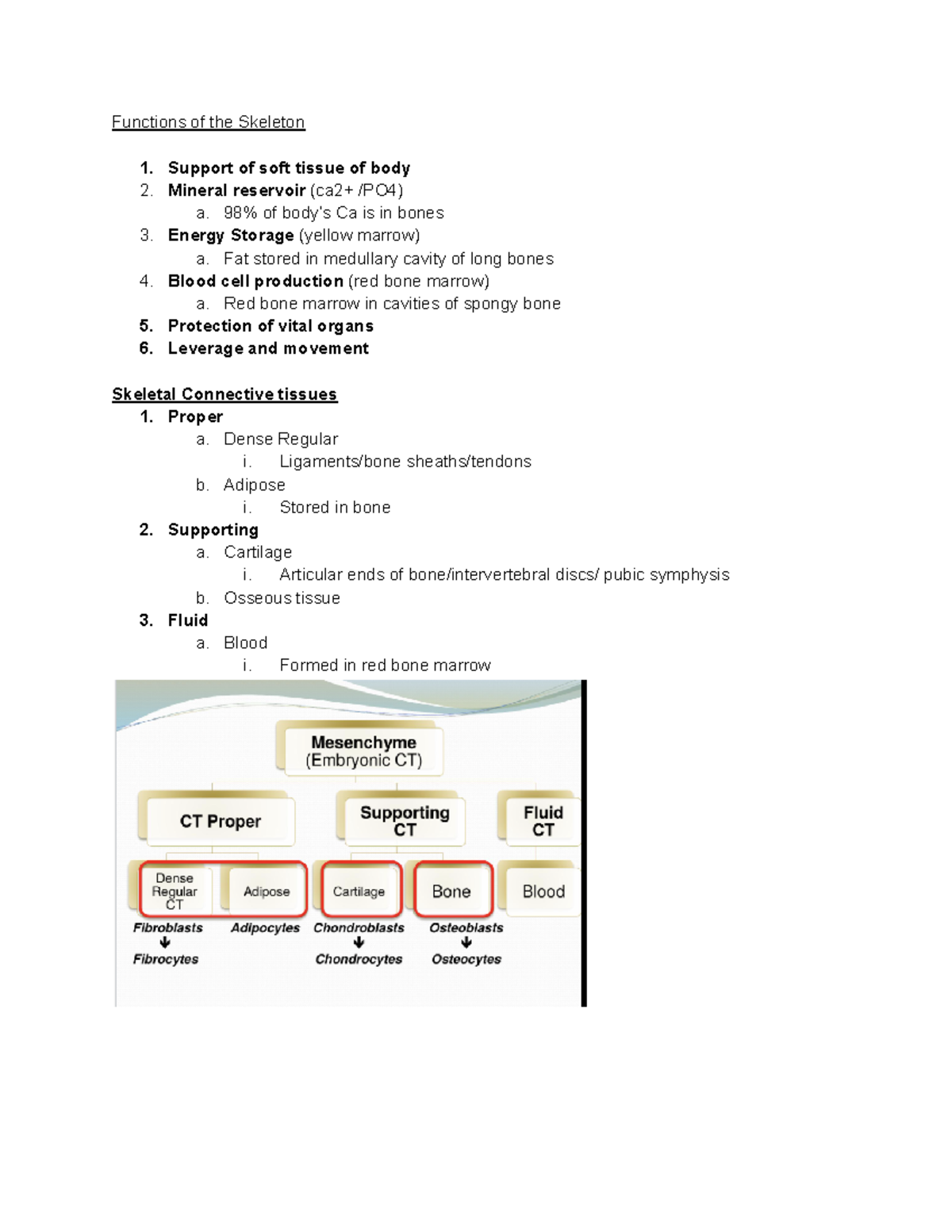 Bio 212 Anatomy (Unit 2) - Functions of the Skeleton Support of soft ...