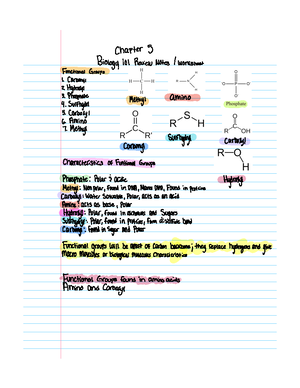 Lab #6 Pre-Lab - Pre lab for bunny blitz simulation - BIOL 101 - Pre ...
