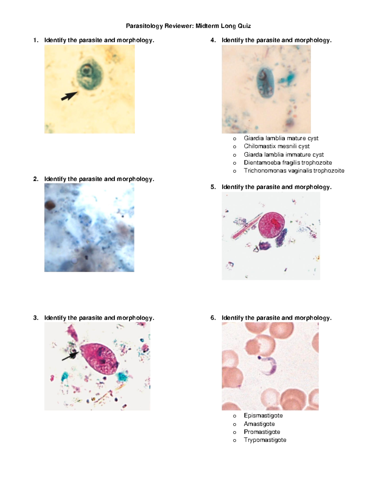 Parasitology Reviewer Midterm Long Quiz - Parasitology Reviewer ...
