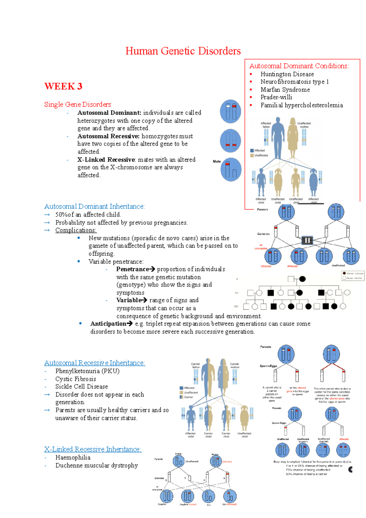 Human Genetic Disorders w3 - Human Genetic Disorders WEEK 3 Single Gene ...