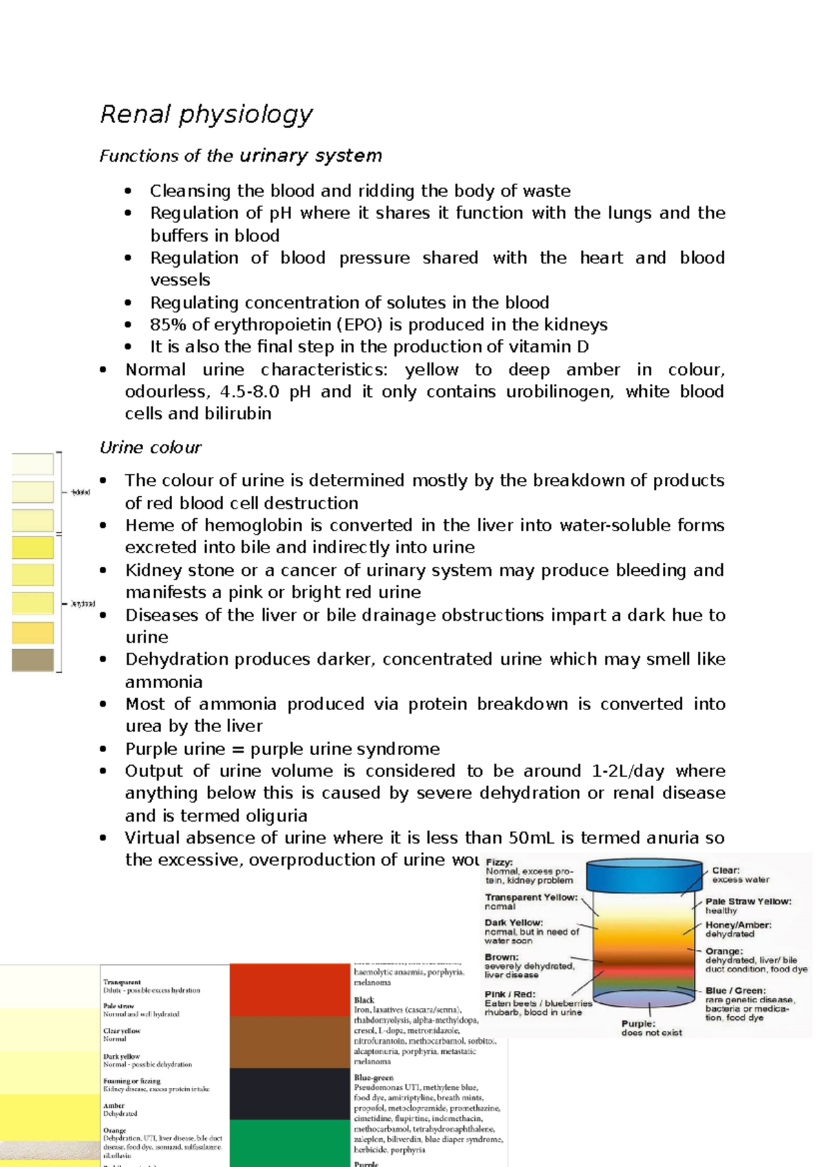 Renal physiology notes - Renal physiology Functions of the urinary ...