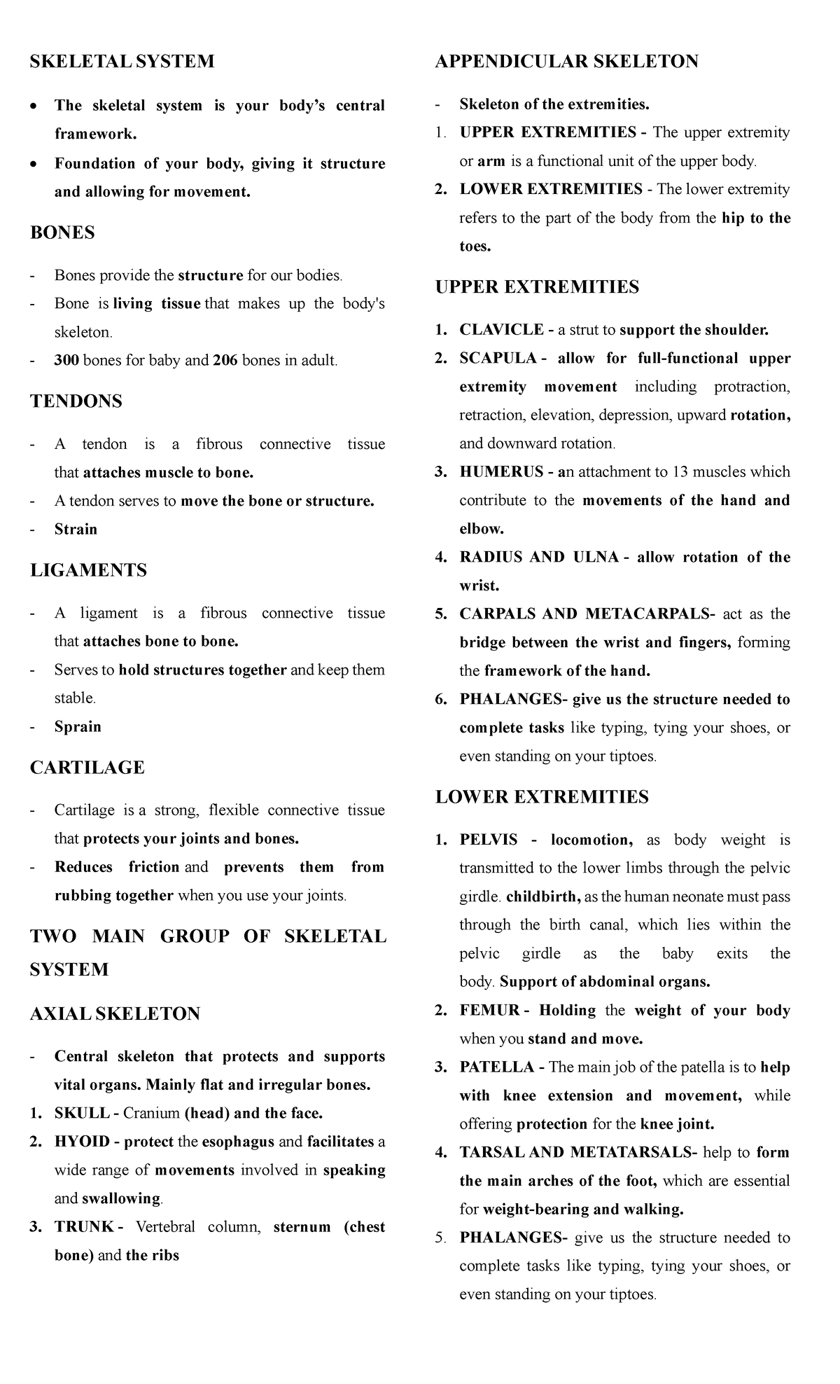 PE Skeletal, Anatomy and Physiology - SKELETAL SYSTEM • The skeletal ...