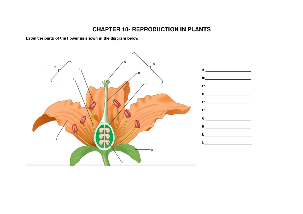 Question Tutorial 10 Reproduction IN Plants - CHAPTER 10 - REPRODUCTION ...