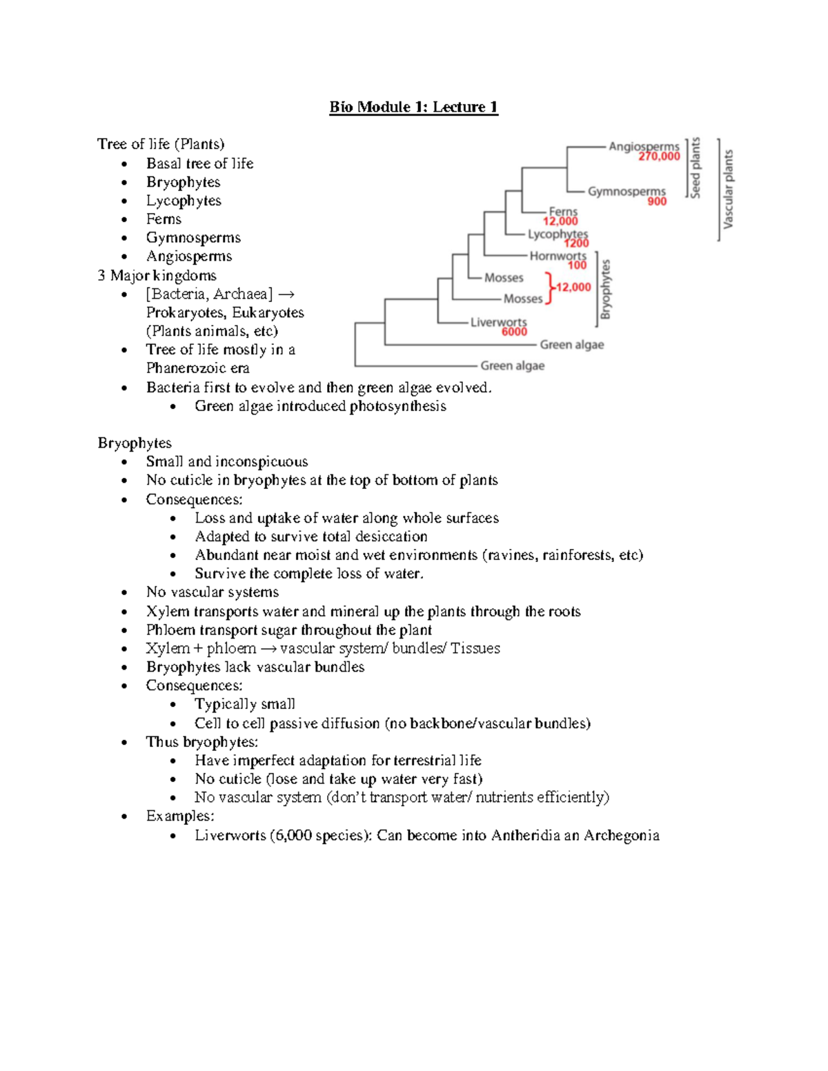 Bio Module 1 Lecture 1 Study Notes - Bio Module 1: Lecture 1 Tree of ...