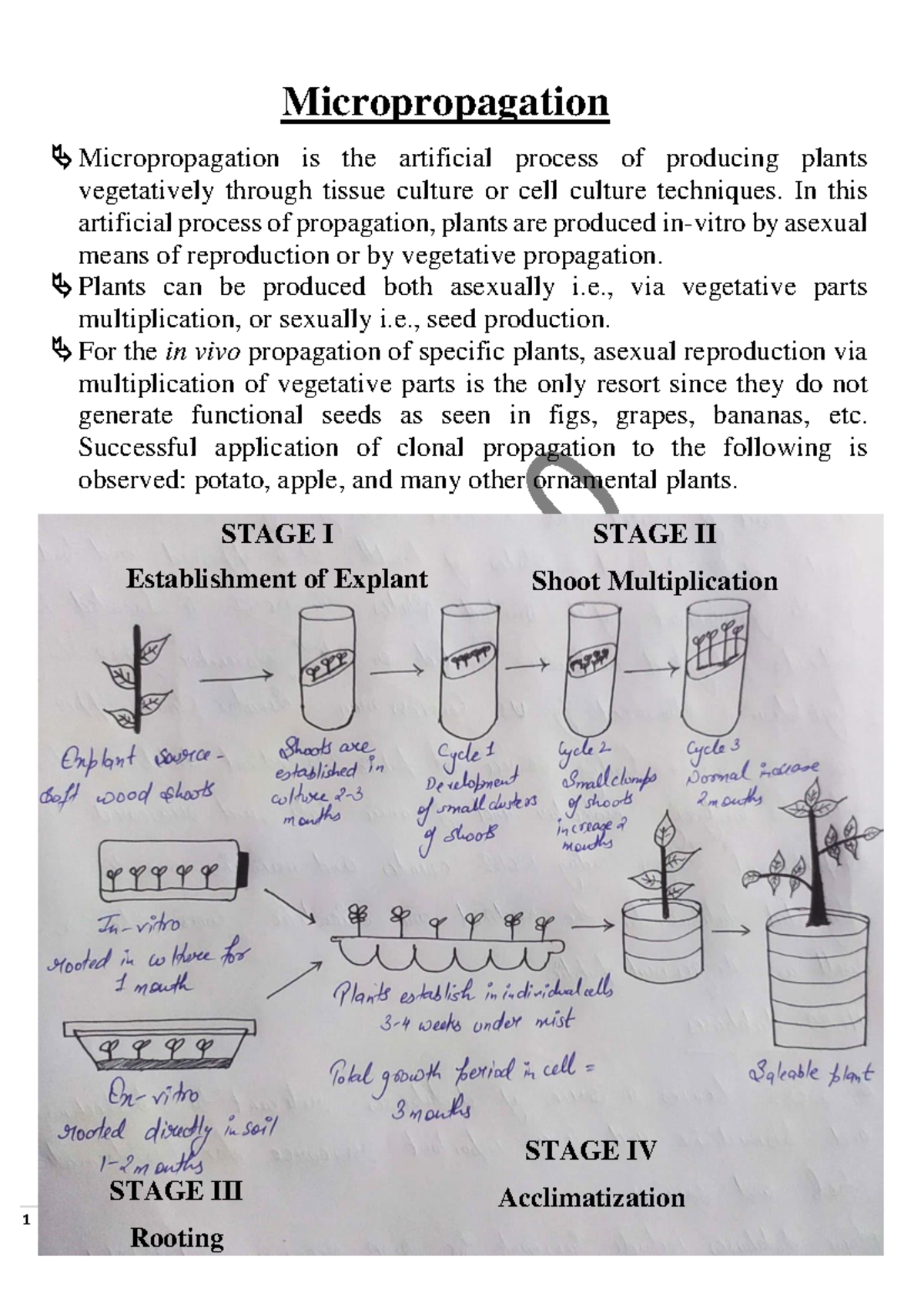 UNIT-3 Plant Biotechnology - 1 | P a g e A Micropropagation ...