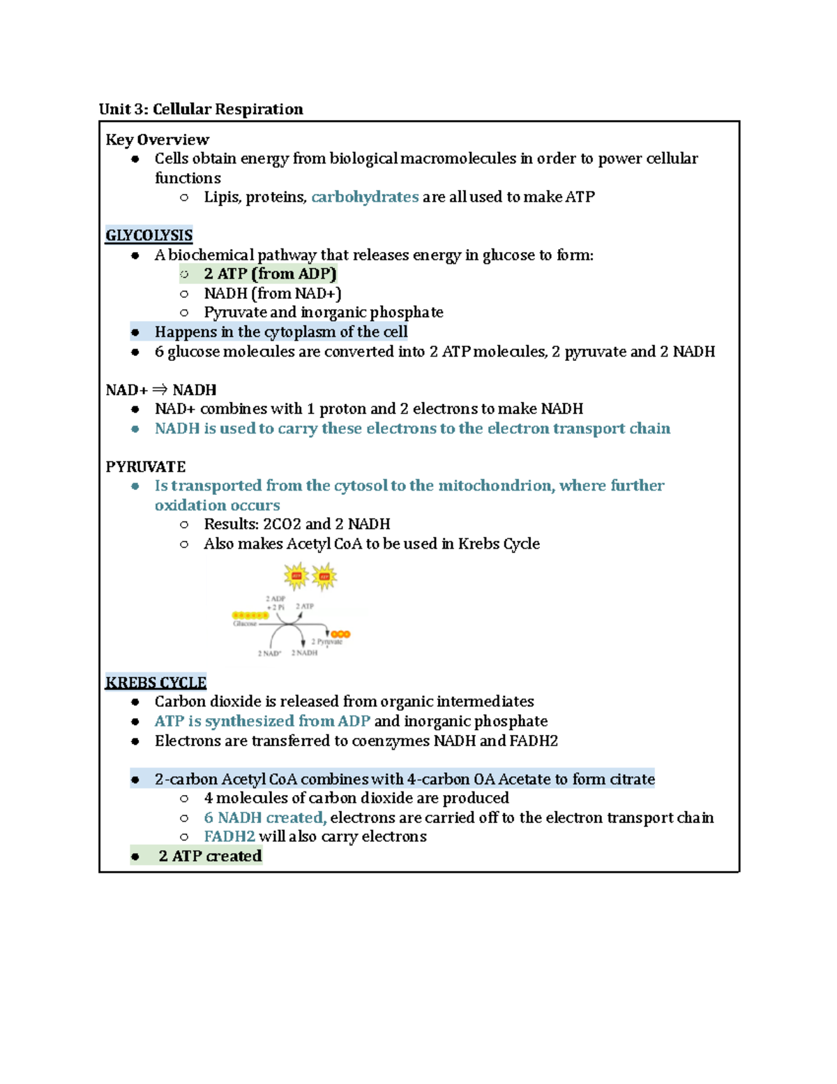 Unit 3 Cellular Respiration - Unit 3: Cellular Respiration Key Overview ...