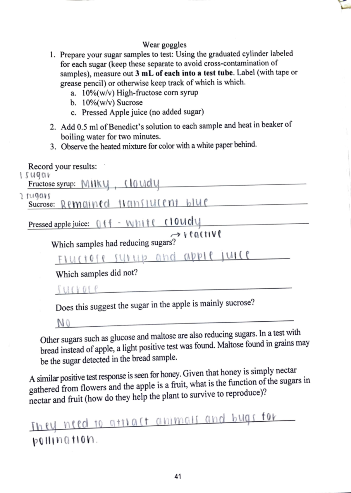 Lab 2: Turgor and Osmosis - Wear goggles 1. Prepare your sugar samples ...