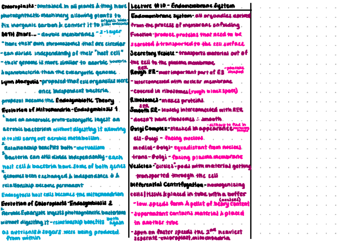 BIO 201 - Cell Biology Notes - Chloroplasts - contained in all plants ...