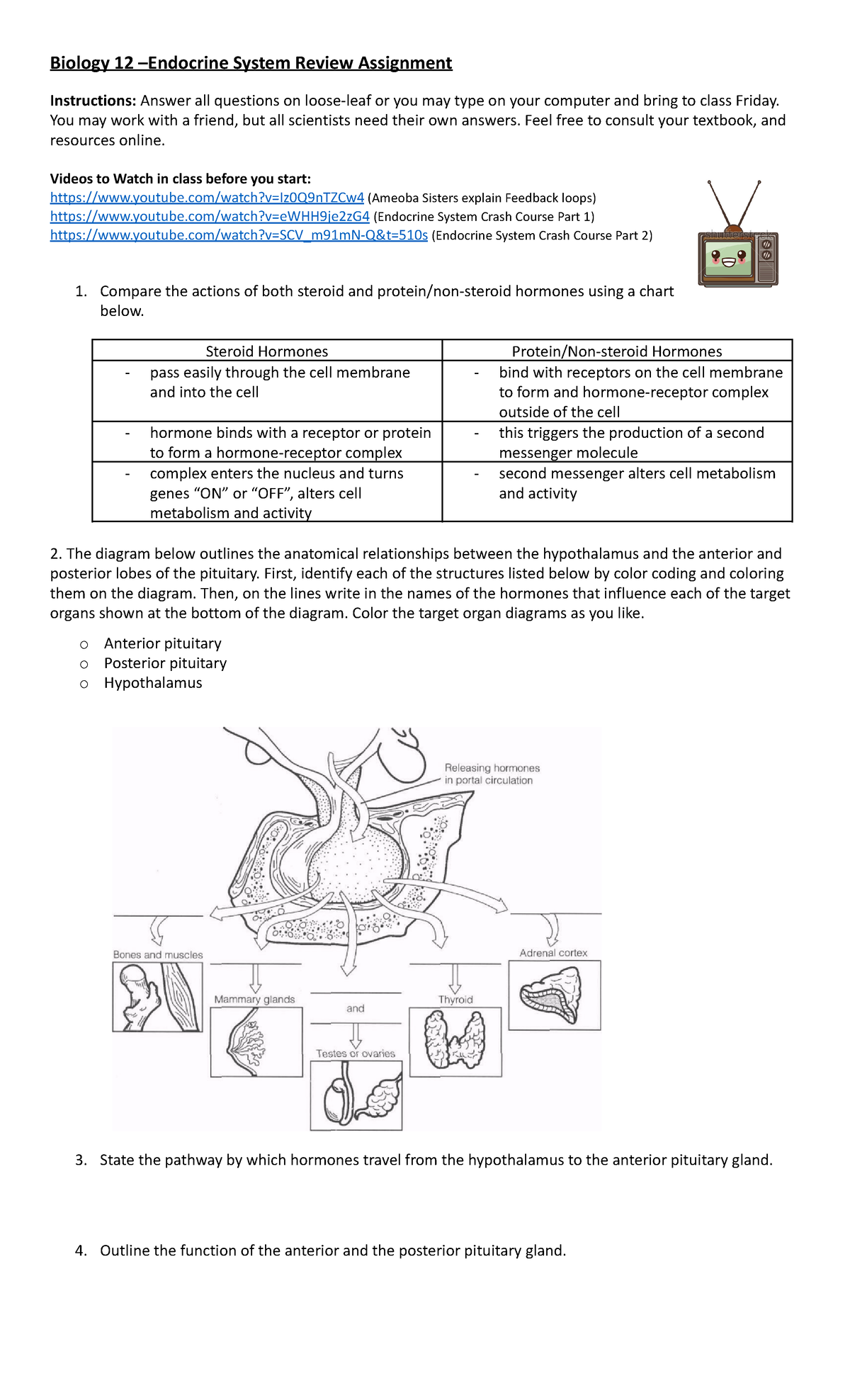 Sunny Won - Endocrine Review Assignment - Student - Biology 12 ...