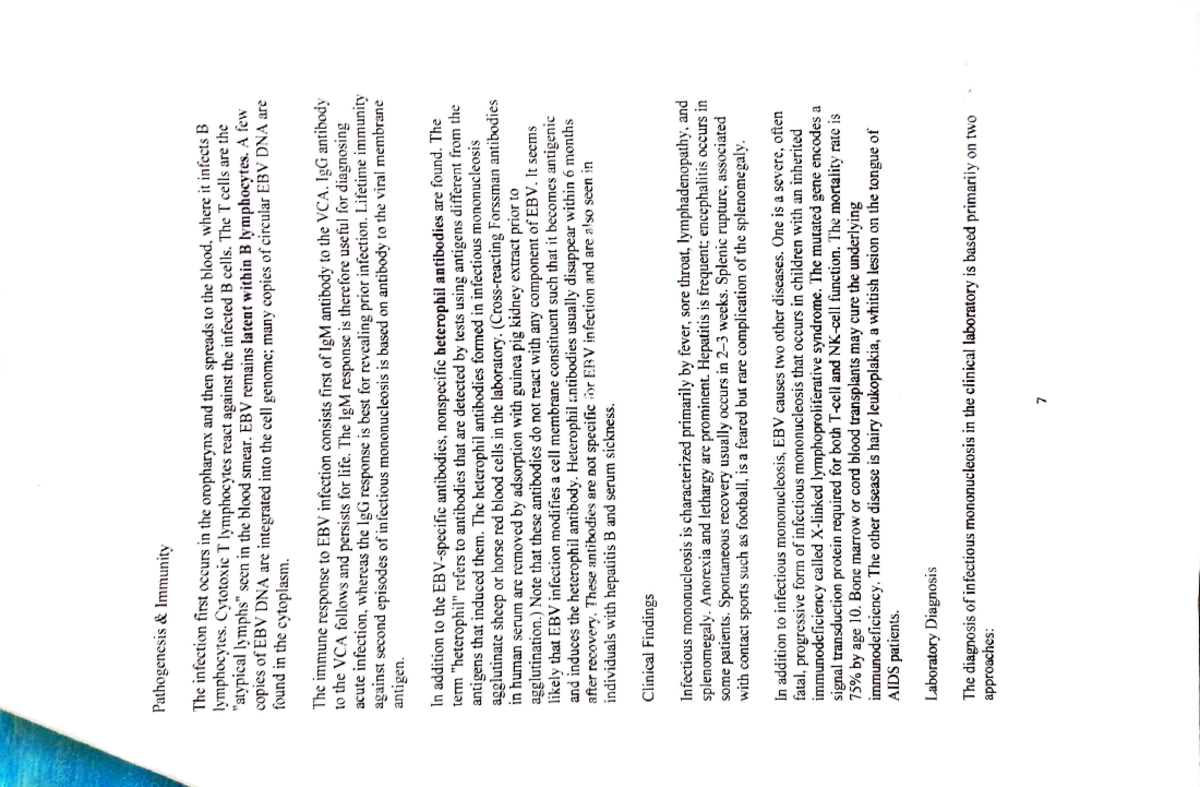 Agricultural botany (ACS 101) - Pathogenesis & Immunity The intection ...