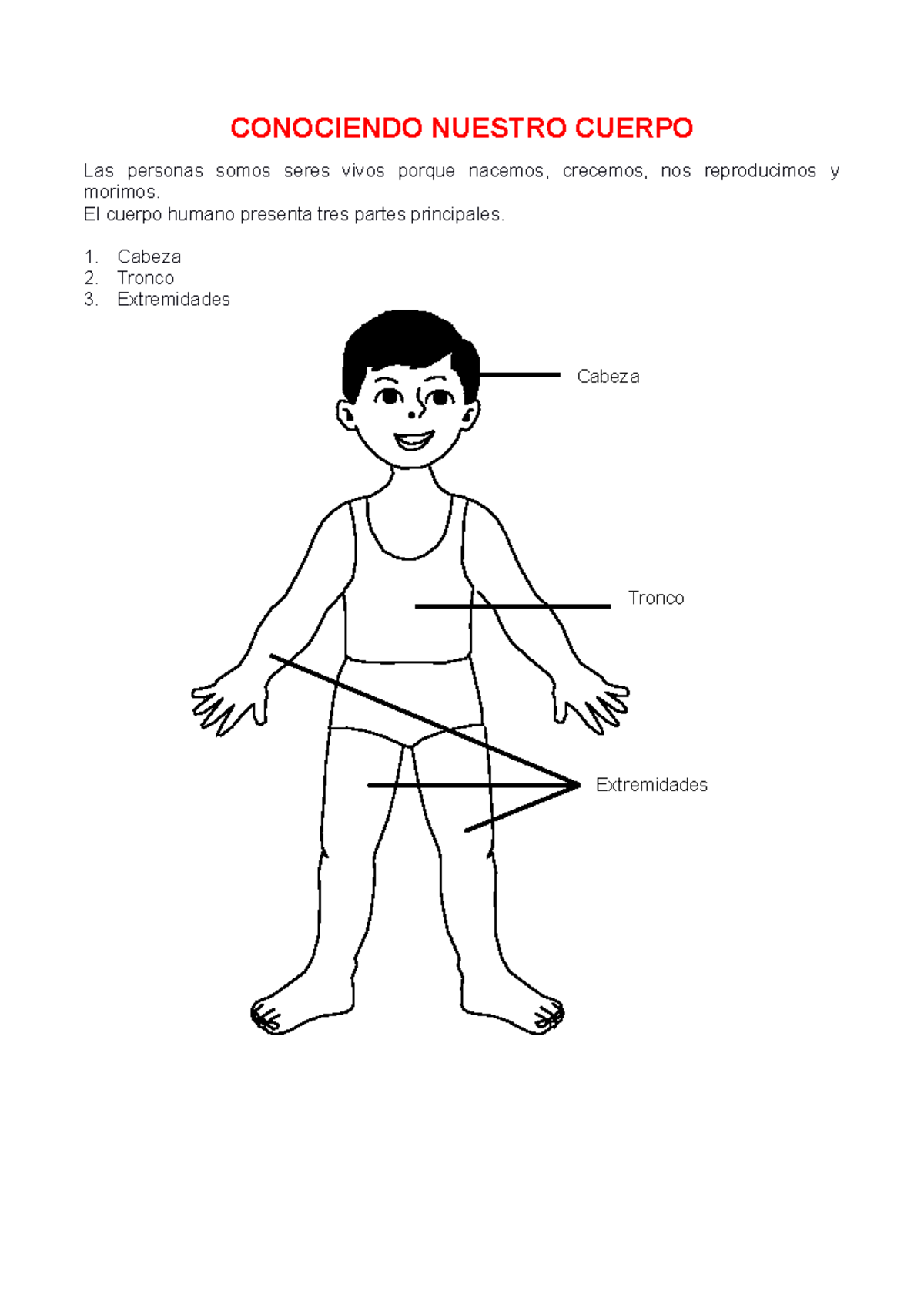 Conociendo nuestro cuerpo para Segundo de Primaria - CONOCIENDO NUESTRO ...
