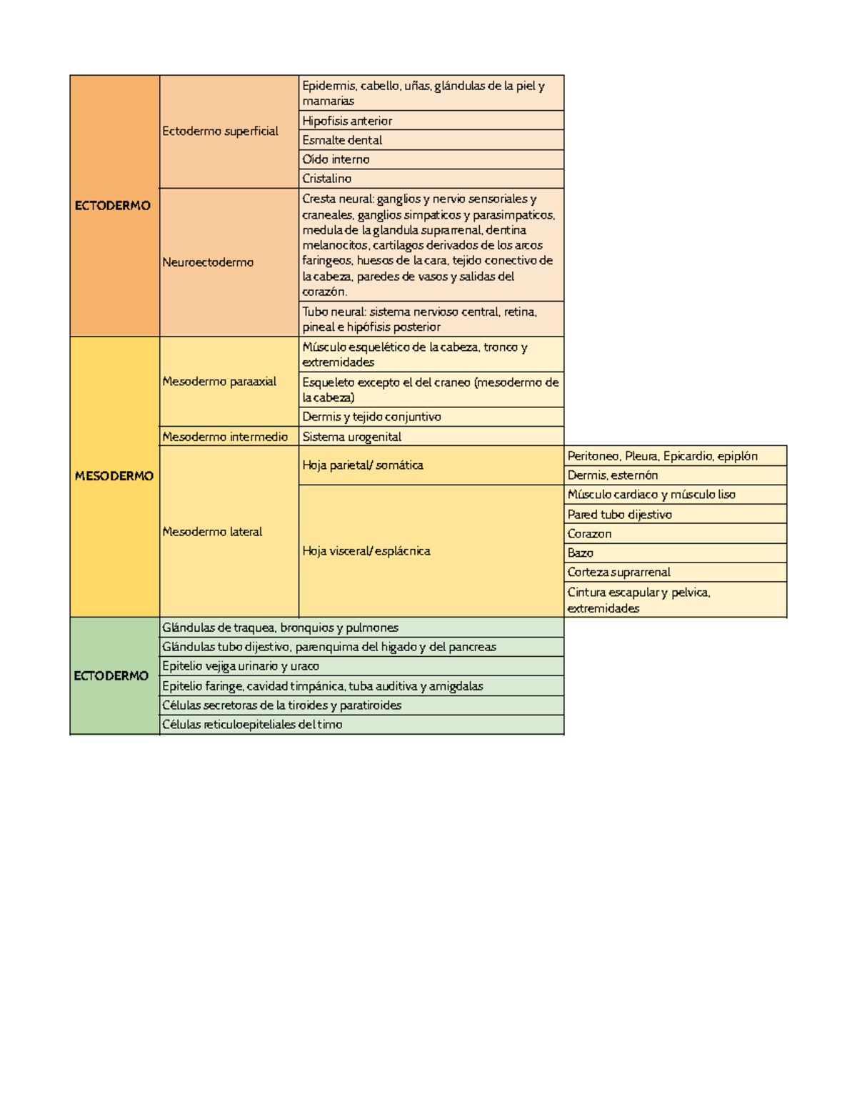 Derivados embrionarios - Hoja 1 - ECTODERMO Ectodermo superficial ...