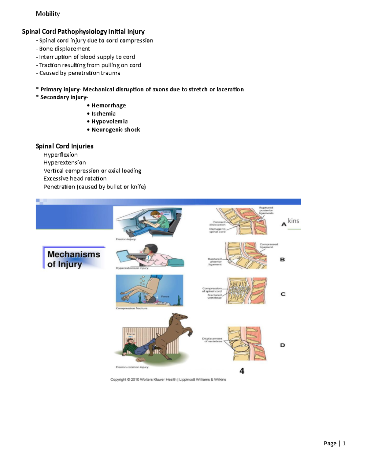 Mobility Outline 2023 - Mobility Spinal Cord Pathophysiology Ini3al ...
