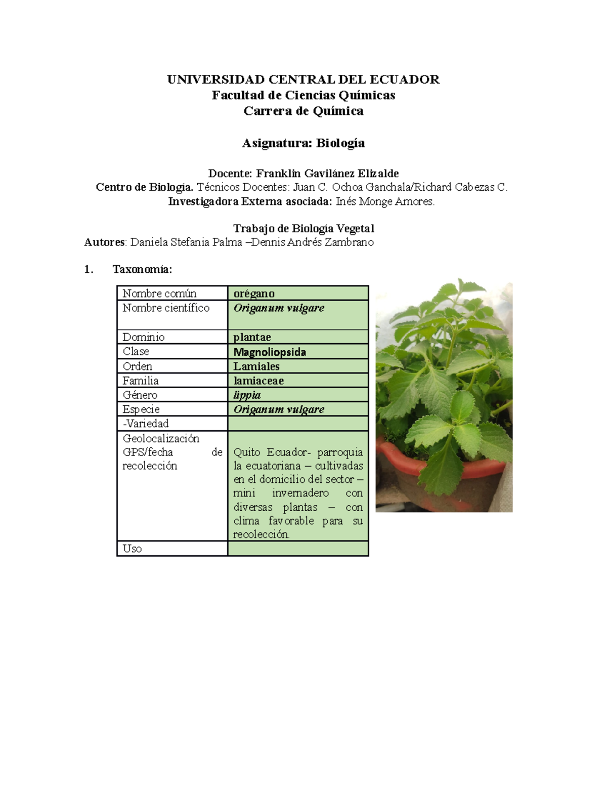 Oregano - Informe - UNIVERSIDAD CENTRAL DEL ECUADOR Facultad de ...