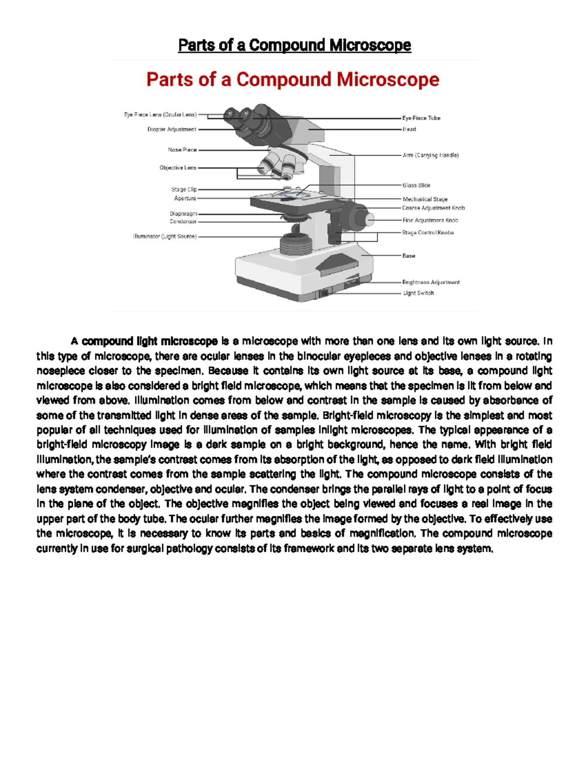 Microscope Parts and Functions - Parts of a Compound Microscope A ...