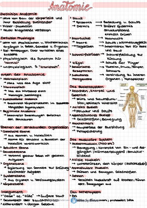 Anatomie Lernzettel - Warning: TT: undefined function: 32 Warning: TT: undefined function: 32 ...