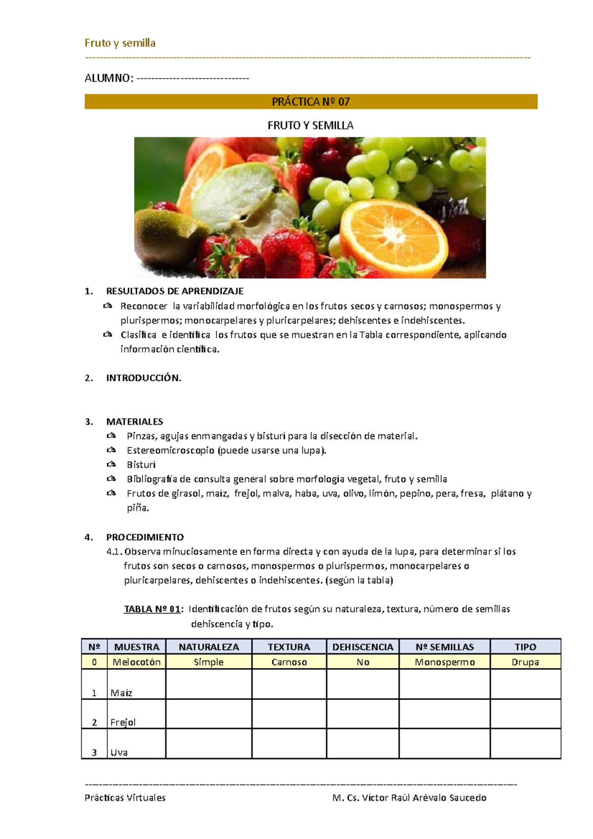 Práctica Nº 07 - Fruto y semilla - ALUMNO: - PRÁCTICA Nº 07 FRUTO Y ...
