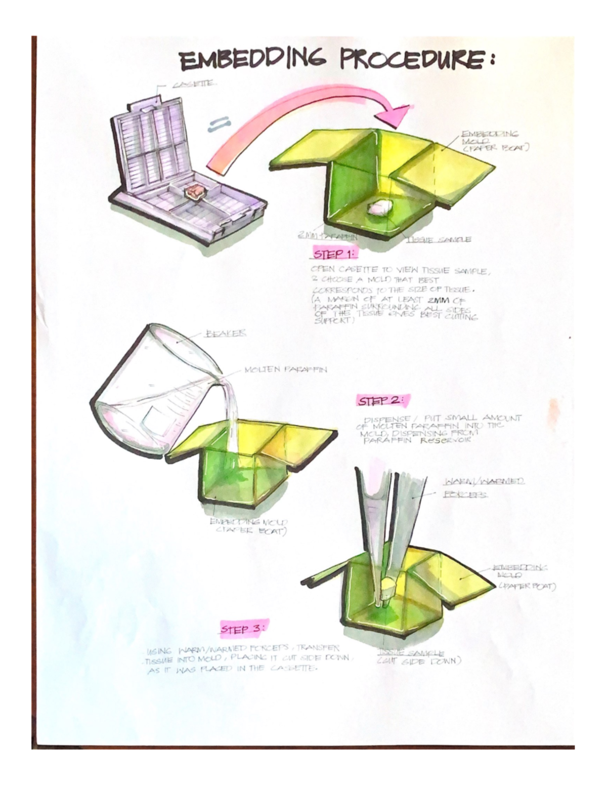 MOLD, Dispensing FROM - Medical technology - Studocu