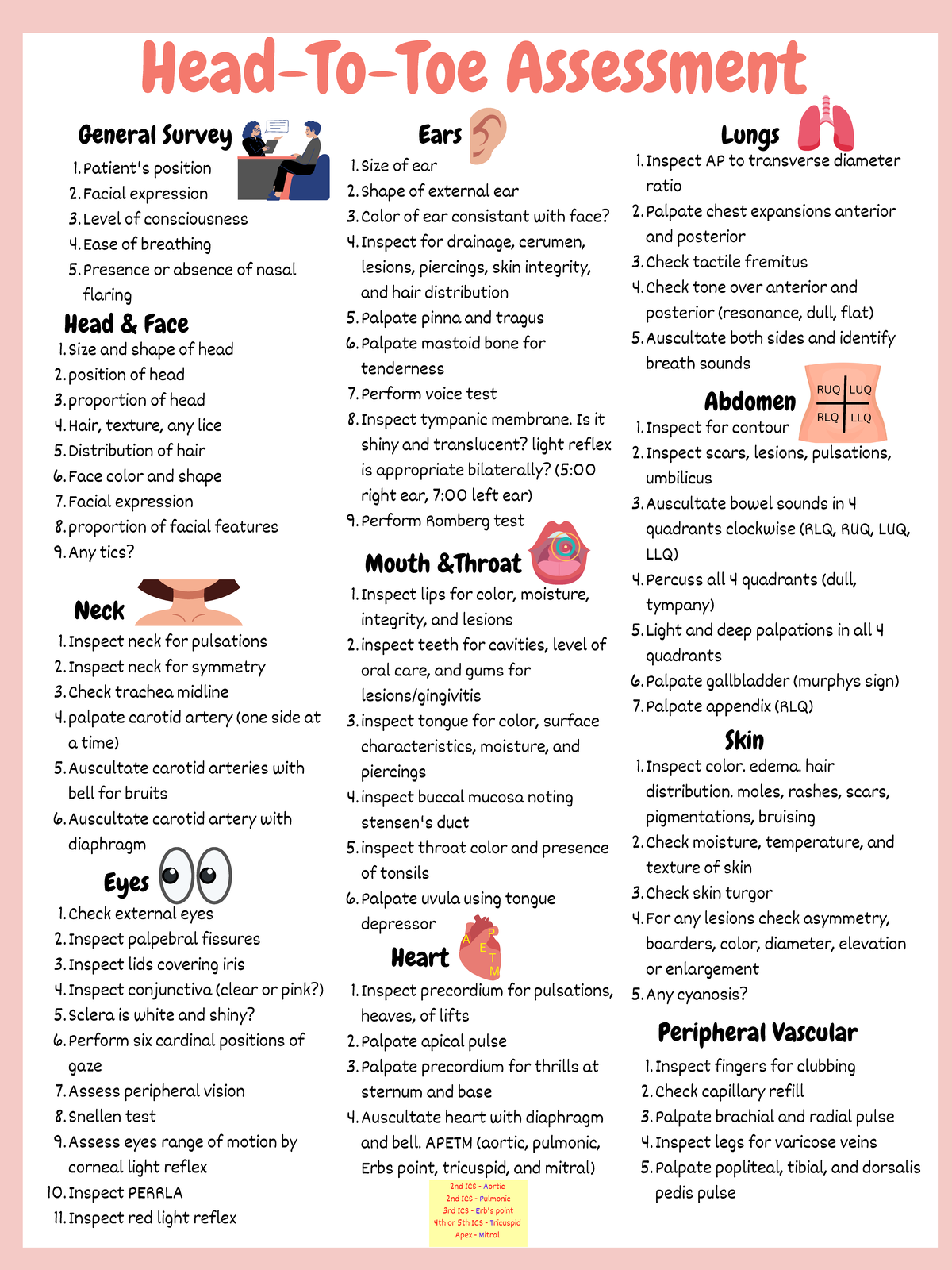 Head-To-Toe Assessment - Size of ear Shape of external ear Color of ear ...