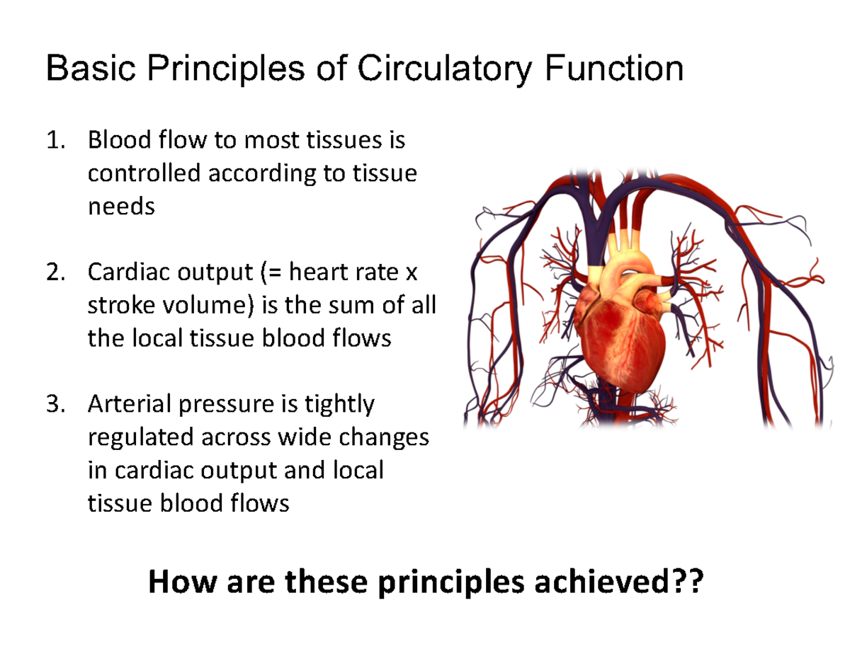 Bio3U03-02-Pressure Flow - Basic Principles of Circulatory Function ...