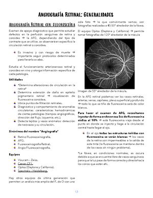 1. Histología y fisiología de la retina - El globo ocular se divide en ...