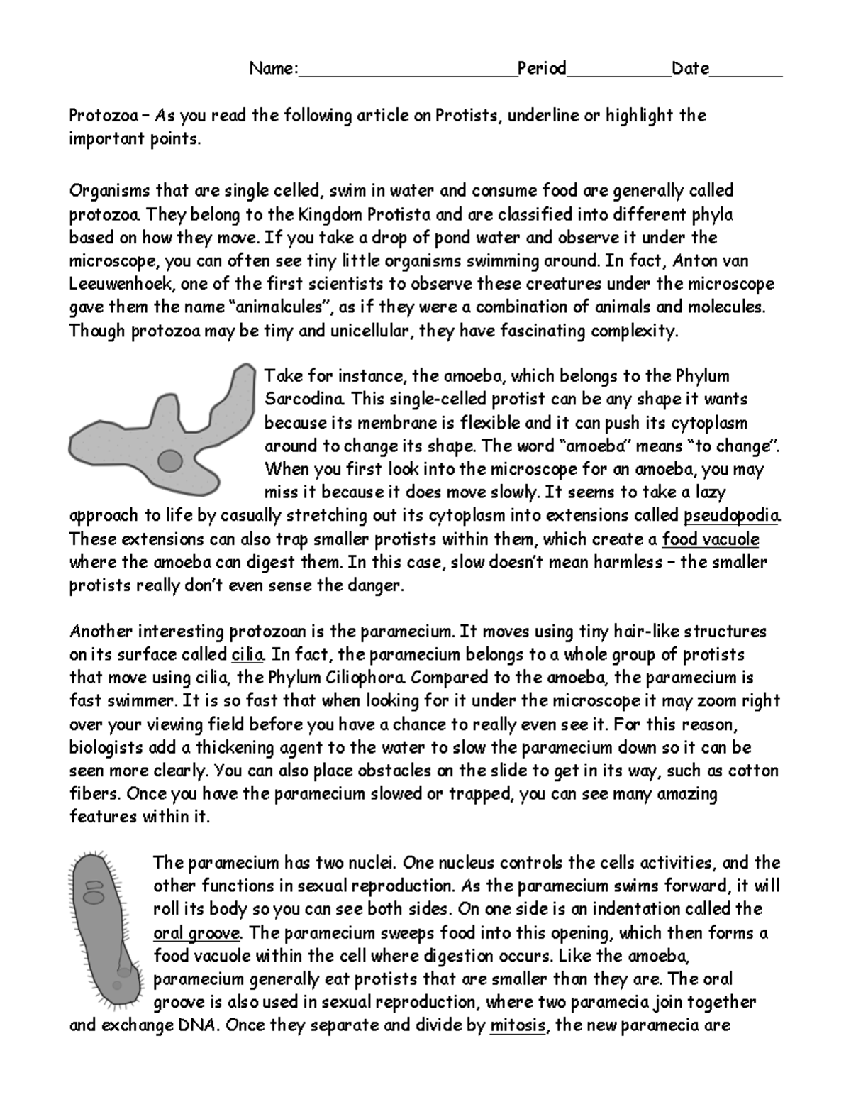 Protist Packet - Name:______________Period__________Date Protozoa – As ...