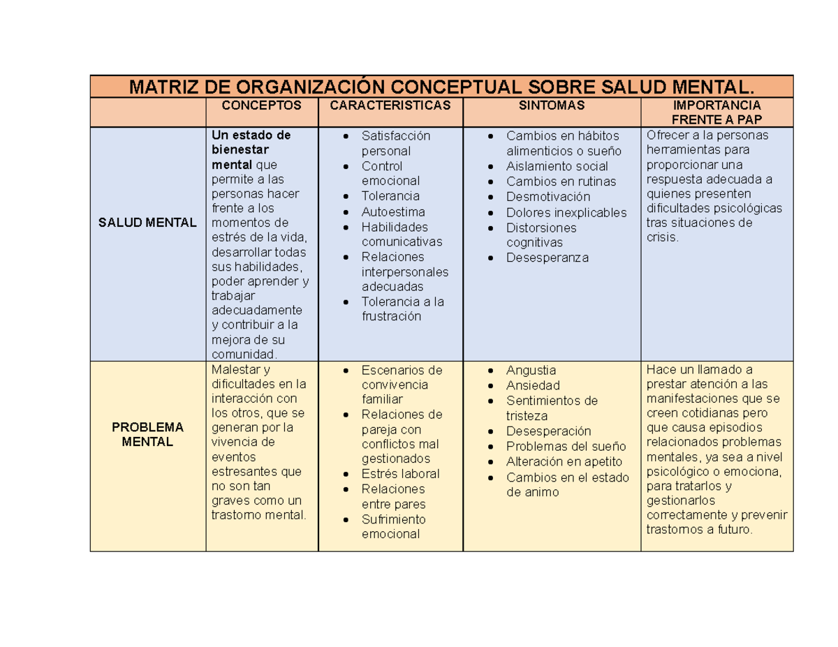 Matriz de organización conceptual sobre salud mental - MATRIZ DE ...