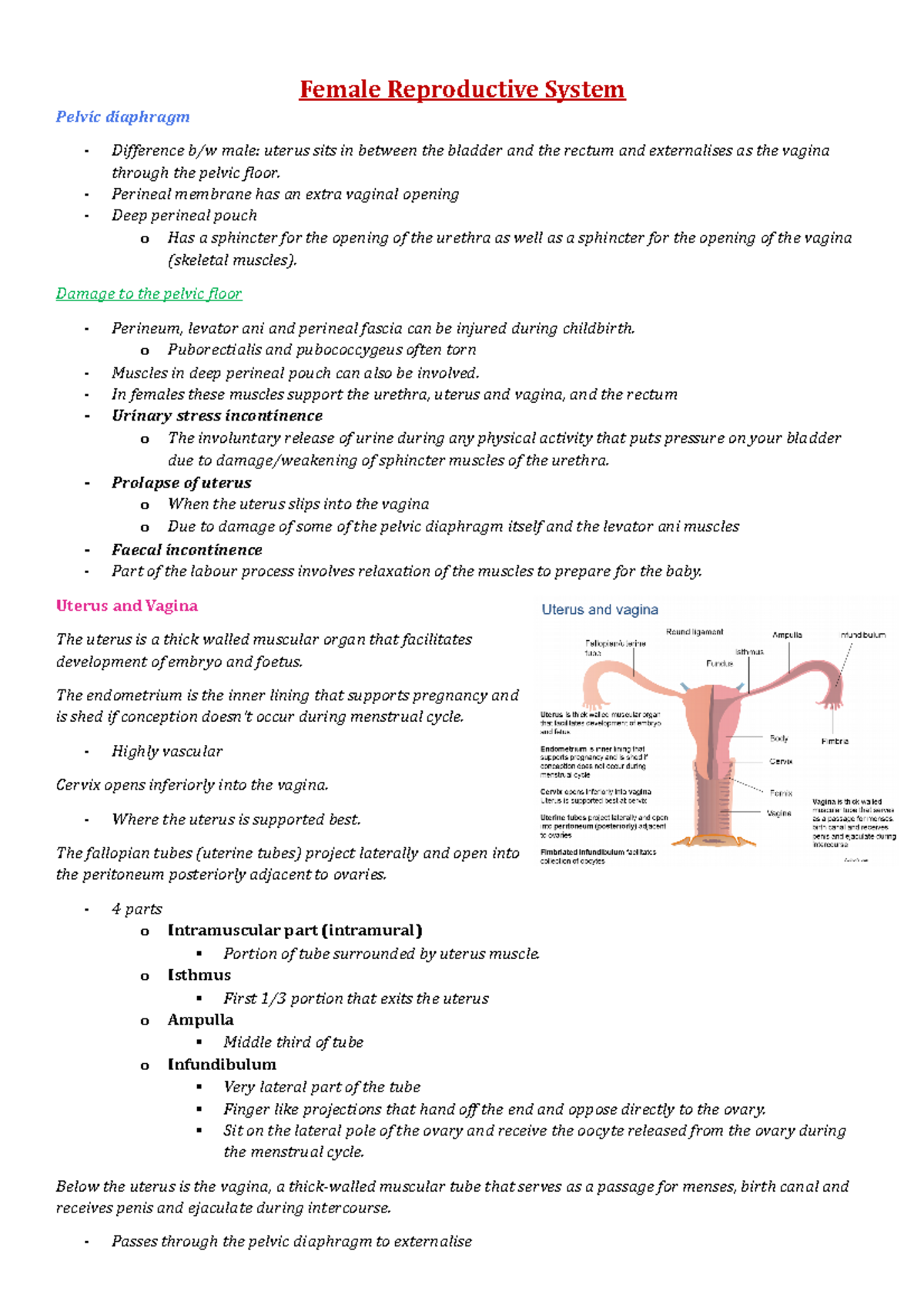 Lecture notes, lecture all - Male and female reproductive system ...