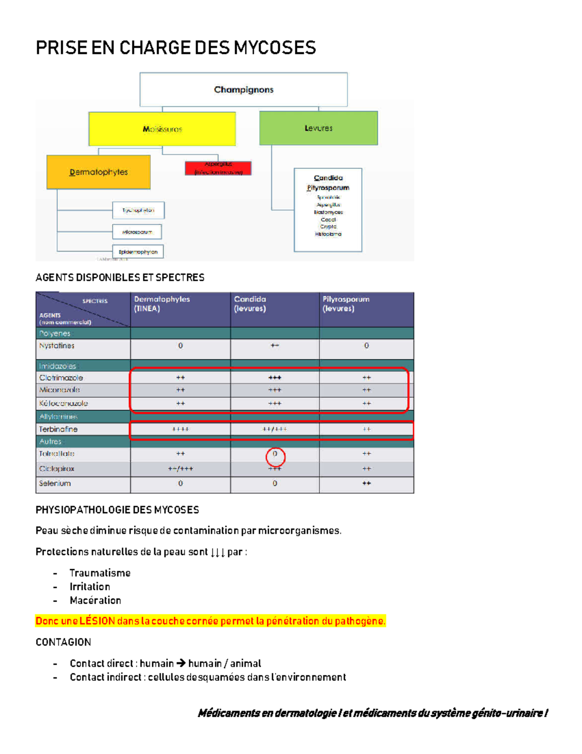 Mycoses cutanées - Thérapie [WL] - PRISE EN CHARGE DES MYCOSES AGENTS ...