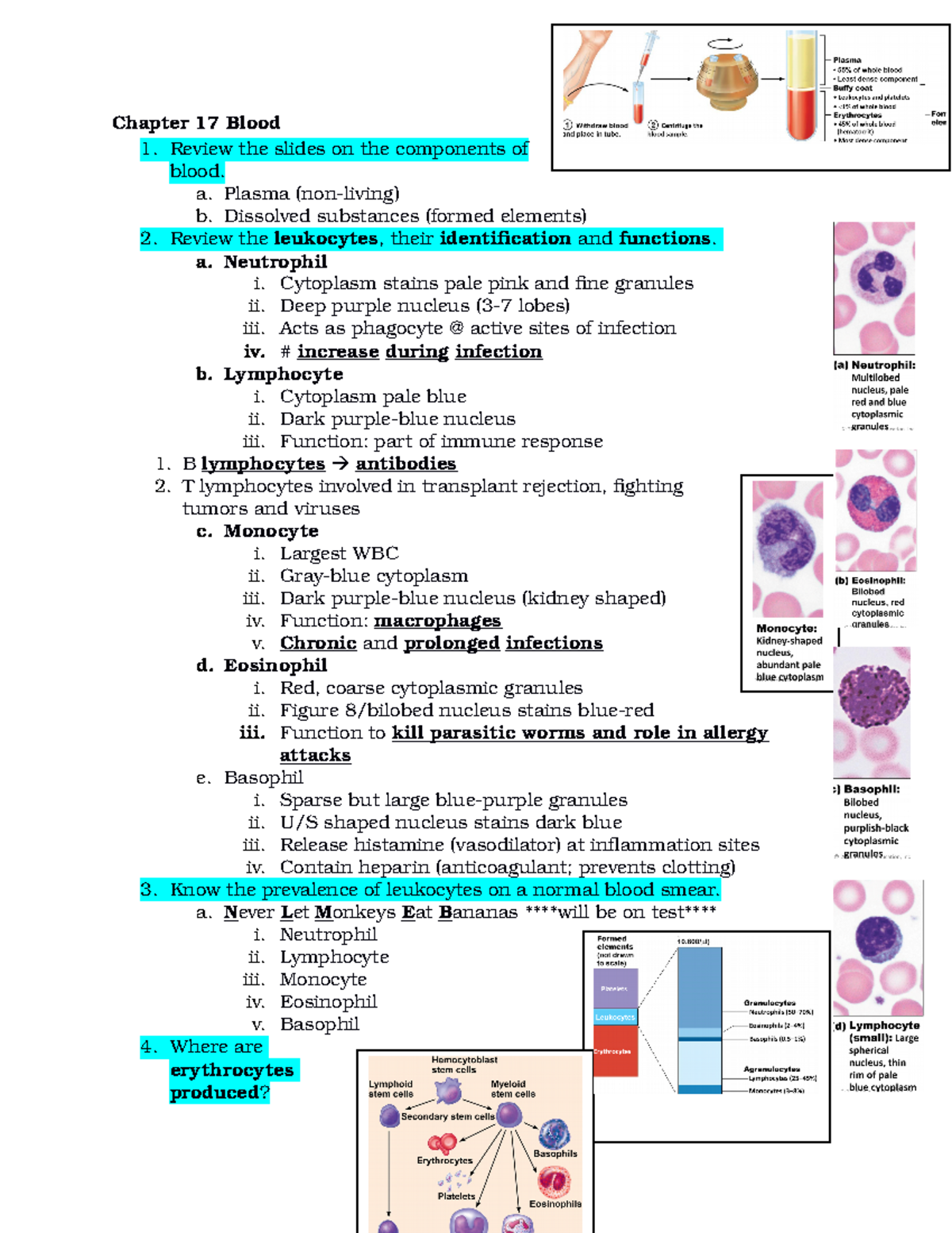 Biol 125 Exam 2 study guide - Chapter 17 Blood Review the slides on the ...