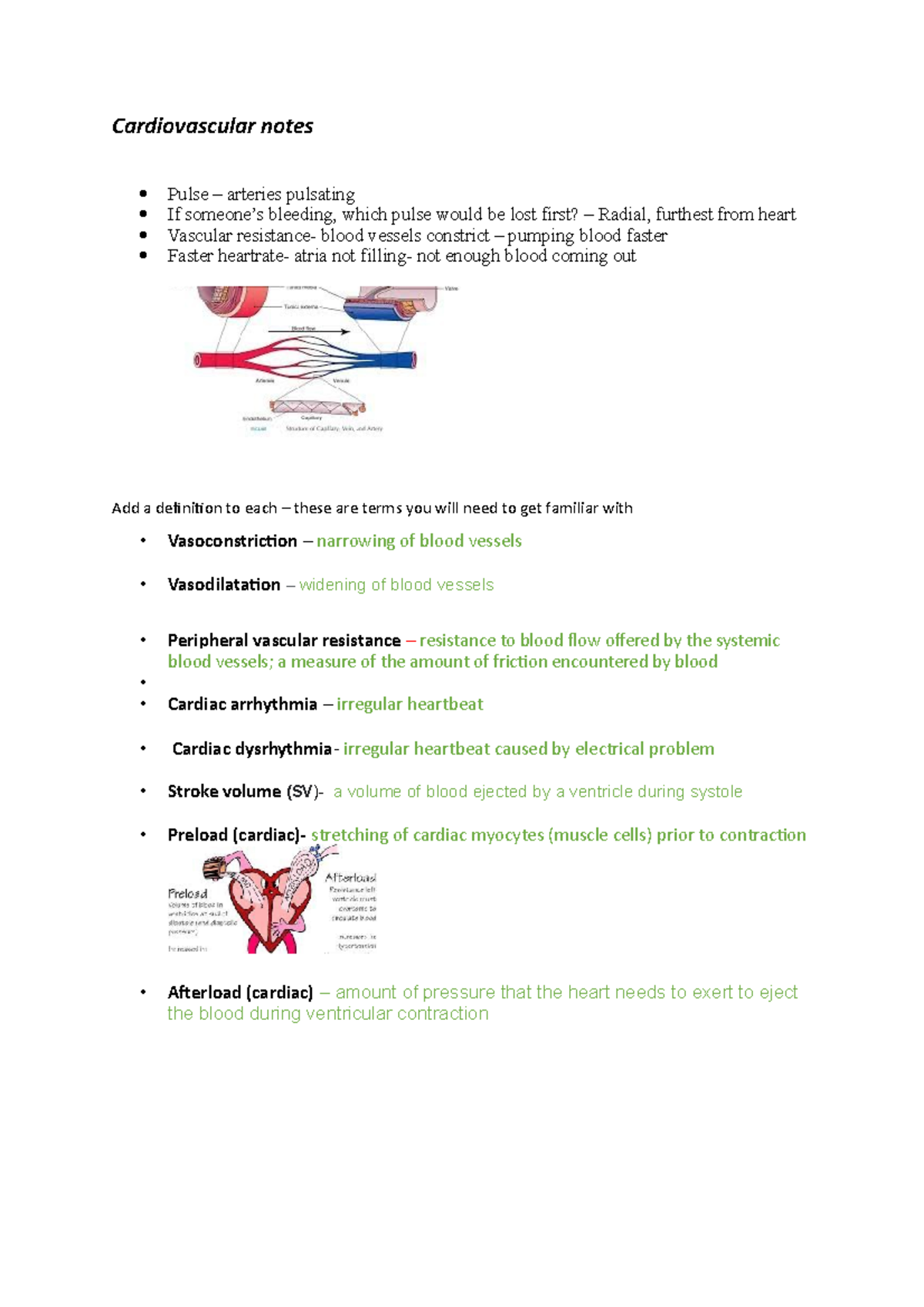 Cardiovascular notes year 1 - Cardiovascular notes Pulse – arteries ...