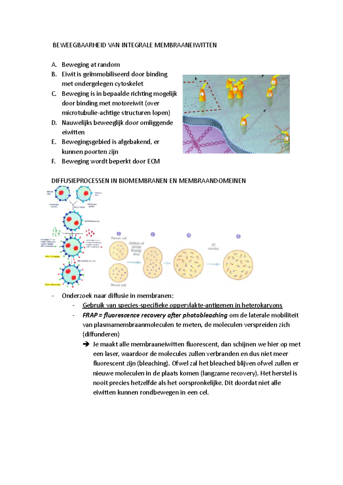 Samenvatting-deel-2, 1ste semester - BEWEEGBAARHEID VAN INTEGRALE ...