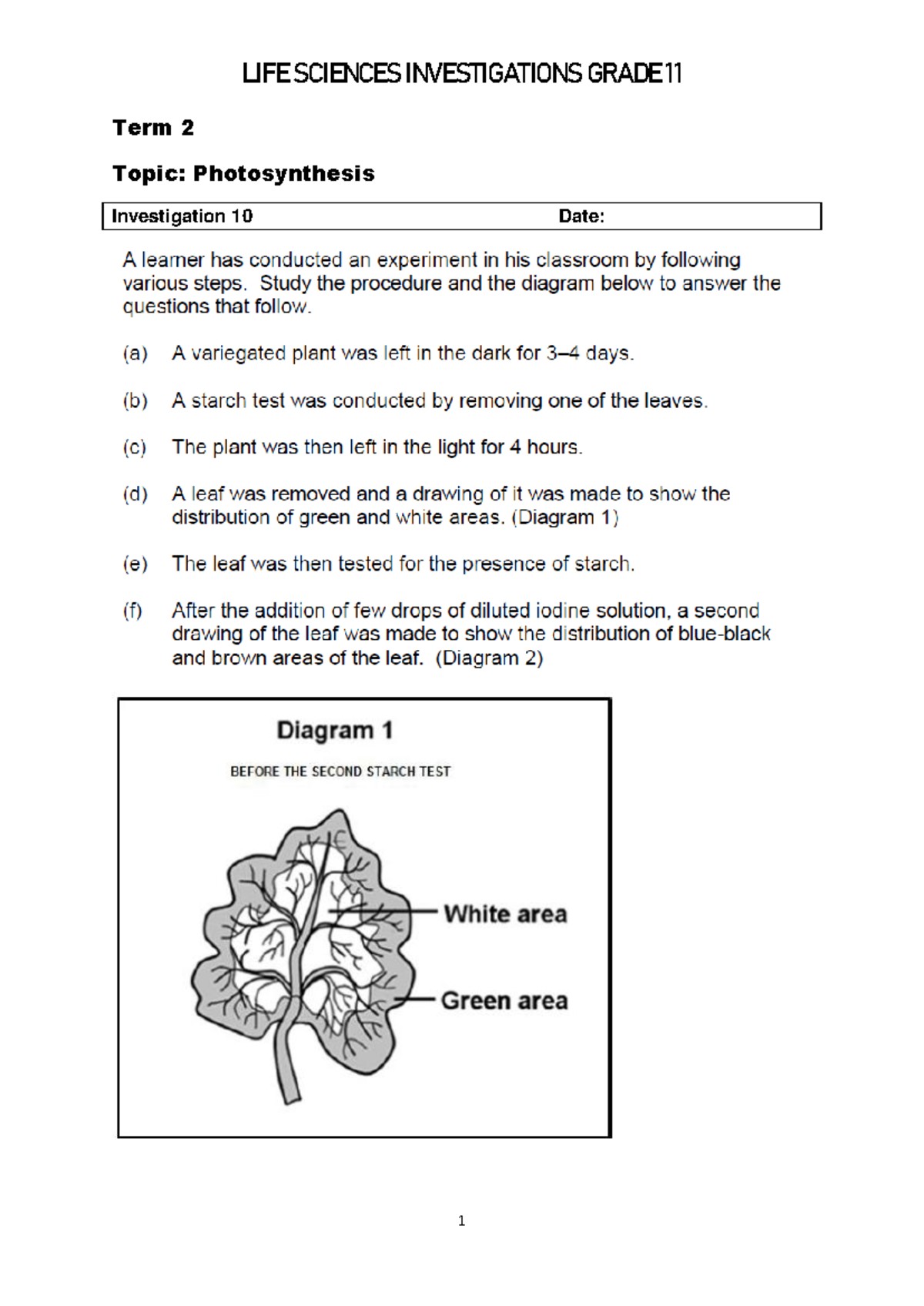 Gr11Term2Investigations 2020 - Term 2 Topic: Photosynthesis ...