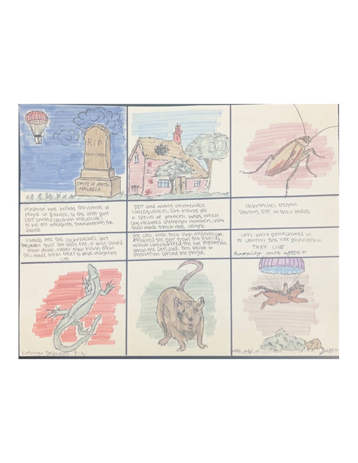 Cat drop comic strip - Studocu