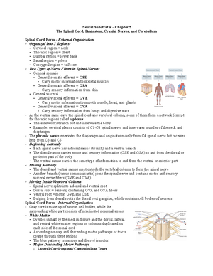 Neural Substrates Chapter 3 - SLHS 2106 Neural Substrates - Chapter 3 ...