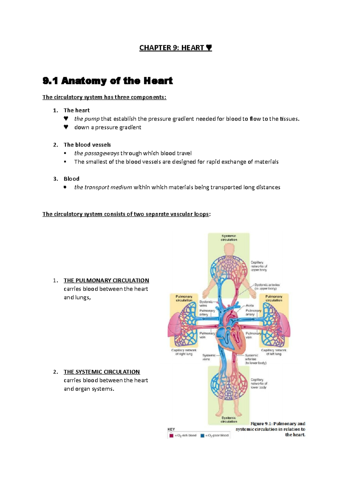 PHBG 3716 - Chapter 9 - The Heart physiology - CHAPTER 9: HEART 9. 1 ...