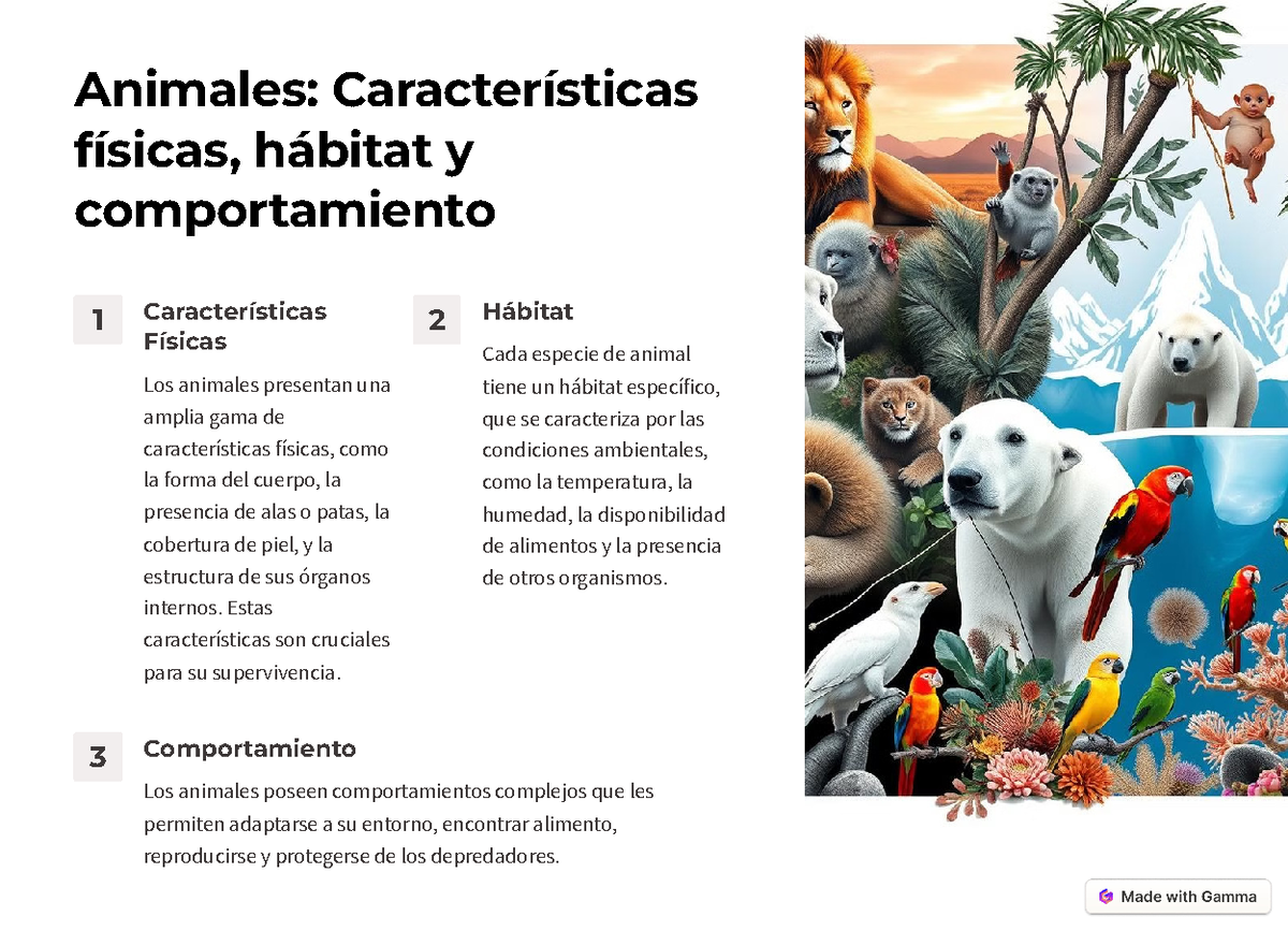 Animales Caracteristicas fisicas habitat y comportamiento - Animales ...