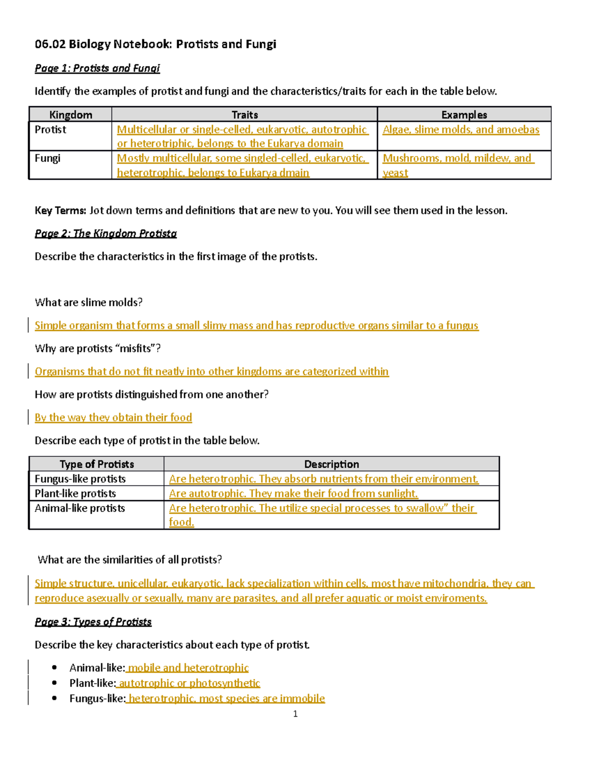 06 02 protists and fungi - 06 Biology Notebook: Protists and Fungi Page ...