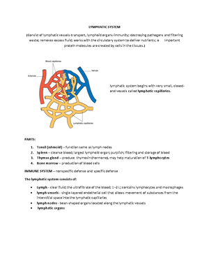 Mehrabian 1995-conformity-scale - SOCIAL BEHAVIOR AND PERSONALITY, 1995 ...