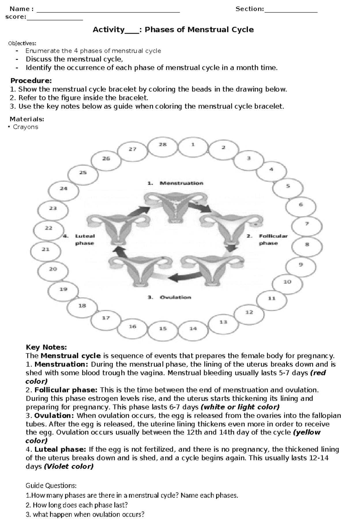 Menstrual-cycle - Name ...