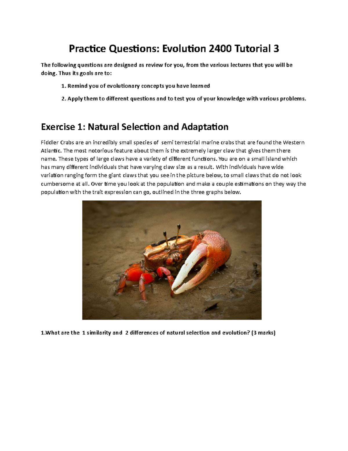 Practice Questions Tutorial 3 (no answers) - Practice Questions ...