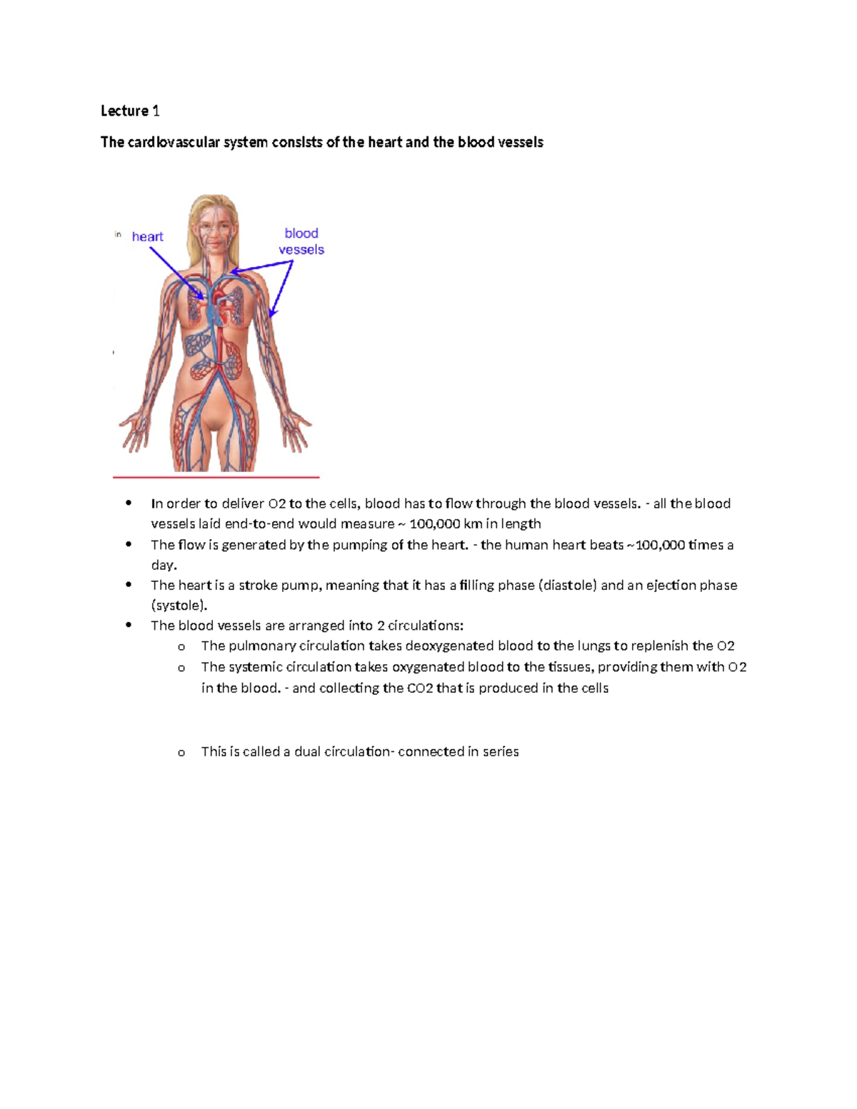 CV system - Lecture 1 The cardiovascular system consists of the heart ...