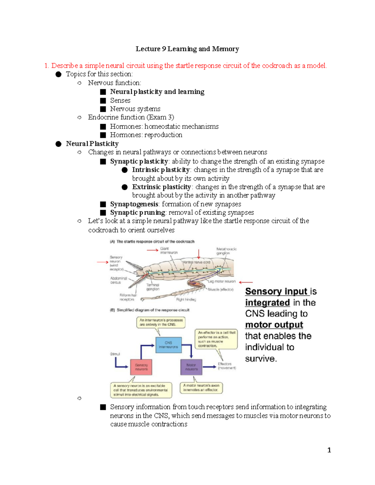 Lecture 9 - Notes - Lecture 9 Learning and Memory Describe a simple ...