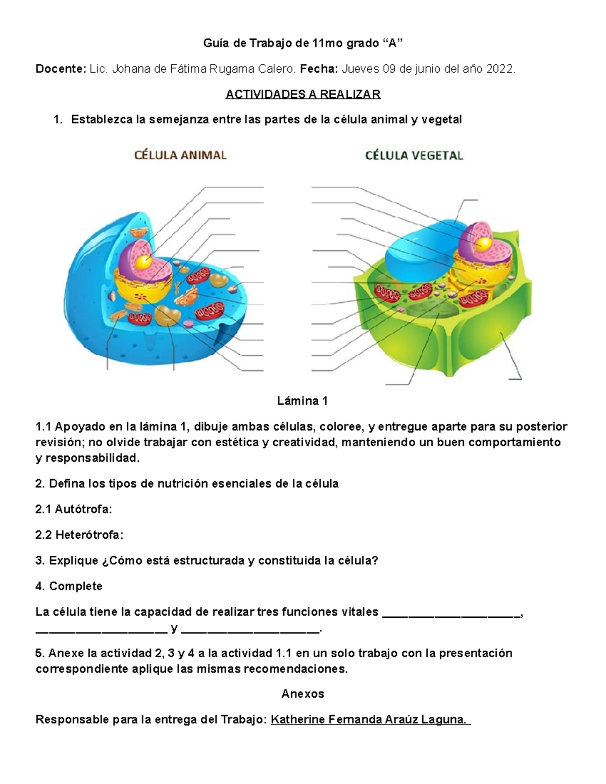 Guía de Trabajo de 11mo grado - Guía de Trabajo de 11mo grado “A ...