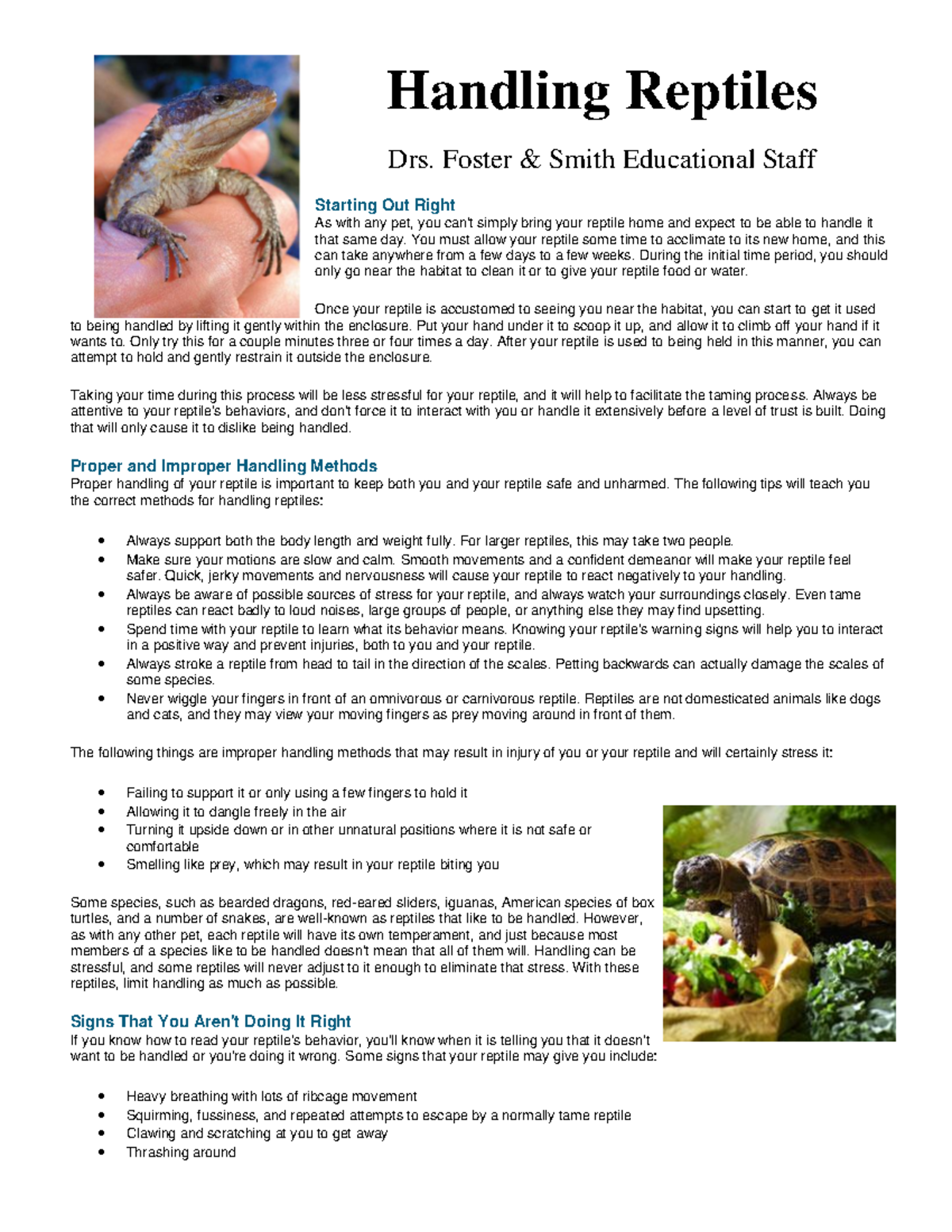 Handling+Reptiles - Could help on an assignment during handling unit ...